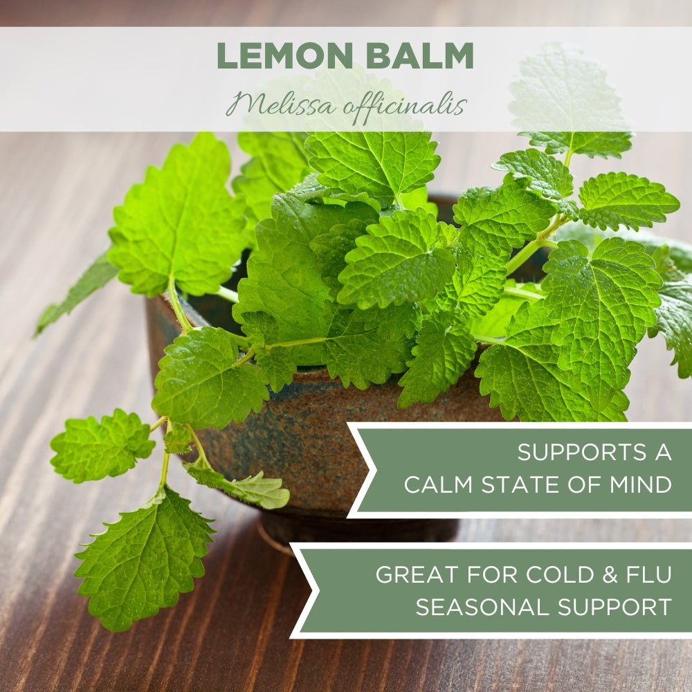 Lemon Balm, USDA Certified Organic, Cut & Sifted – Elanen Naturals