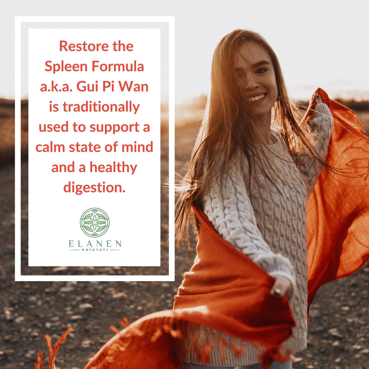 Gui Pi Wan, Restore The Spleen Formula, 100 Veggie Capsules – Elanen ...